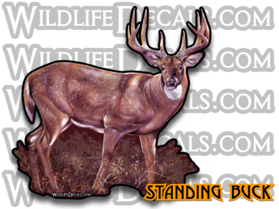 deer-standing-whitetail-buck-decal-848_600x600.png?v=1693369136